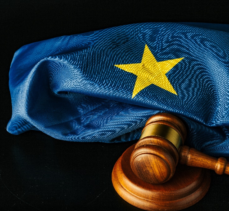 European Taxonomy: What are Articles 8 and 9? - Mapfre AM