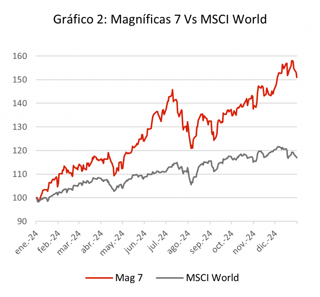 Will the stock market party continue in 2025? - Mapfre AM