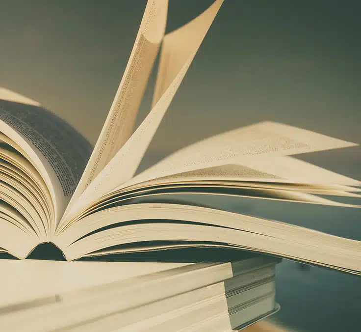 Estos son los 10 libros recomendados por nuestros expertos para este ...